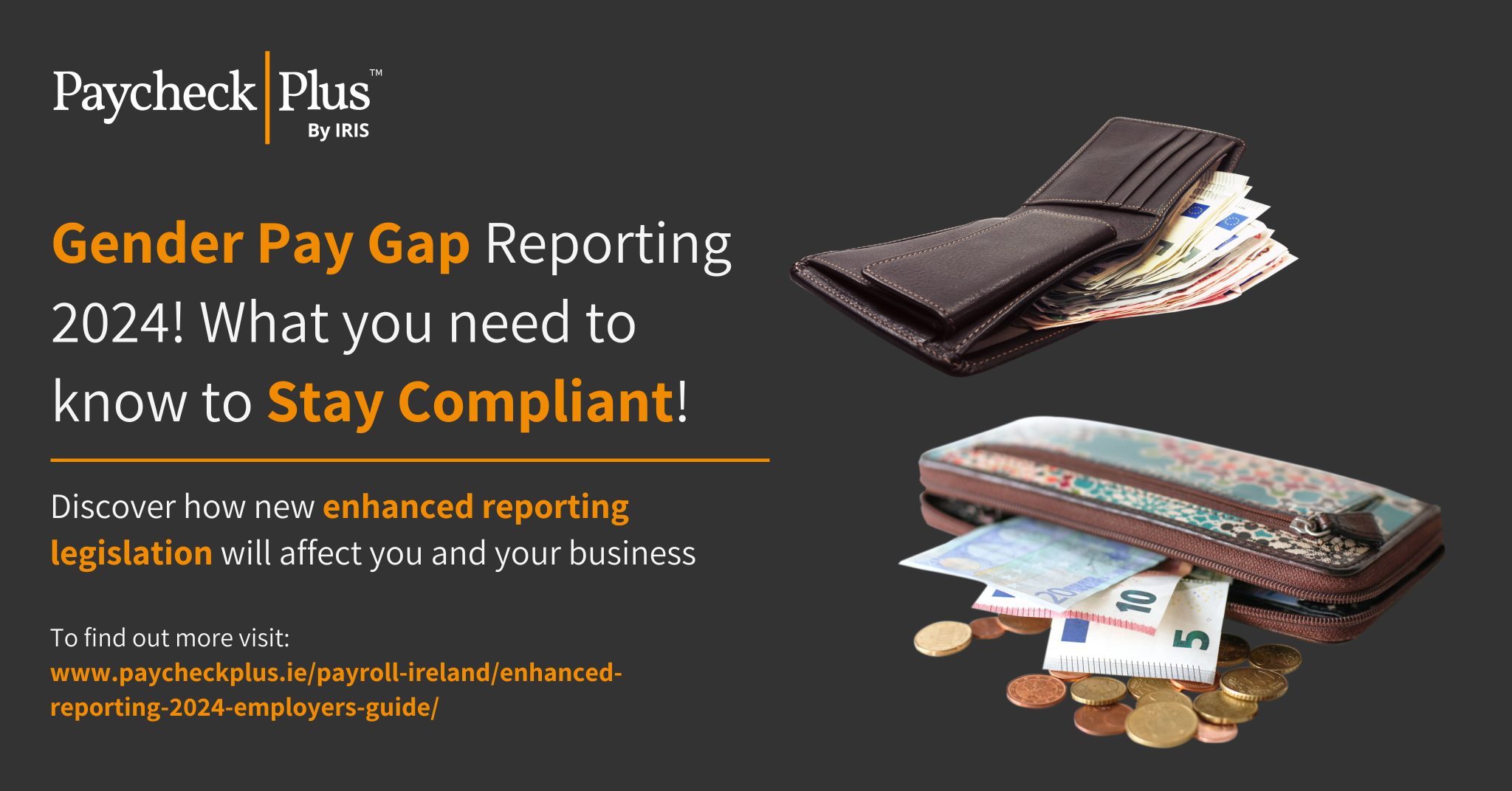 Gender Pay Gap Reporting in Ireland | GPG Reporting 2024 - Paycheck Plus